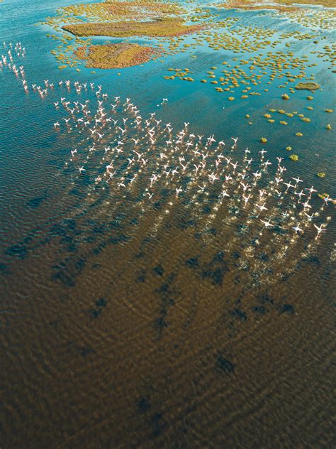 Animation Landing Page Photos Download The Best Free Animation Landing