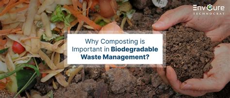 Why Composting Is Important In Biodegradable Waste Management