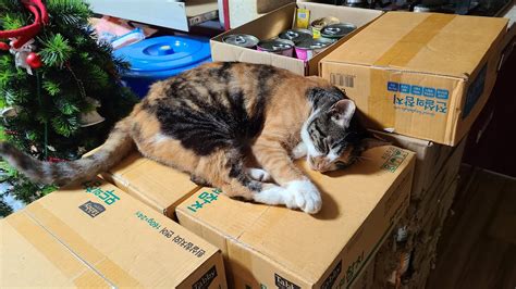 라봉이 연차쓰는 날 Youtube