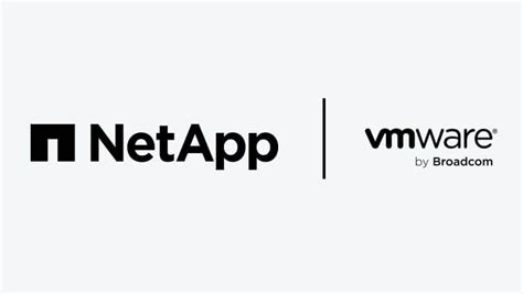 数据基础架构现代化 Netapp