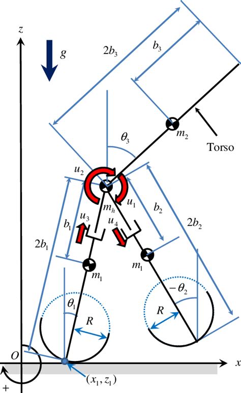 Model Of Telescopic Legged Biped Robot With Arc Feet And Torso Download Scientific Diagram