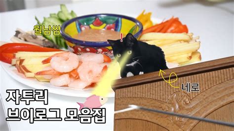 자투리 브이로그 모음집 Youtube