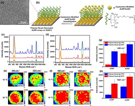 Thermoresponsive Polymer Brush Decorated 3 D Plasmonic Gold Nanorod Arrays As An Effective