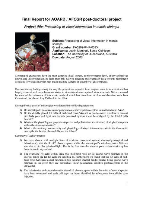 PDF Processing Of Visual Information In Mantis Shrimps