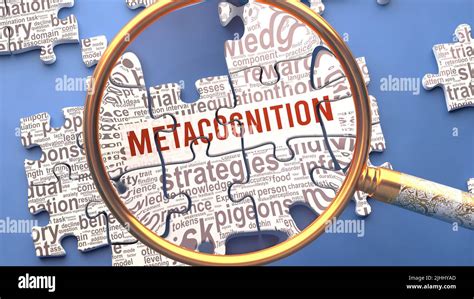 Metacognition As A Complex And Multipart Topic Under Close Inspection Complexity Shown As