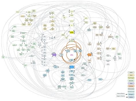 2 A Causal Loop Diagram Of The Obesity System In The Uk Source Download Scientific Diagram