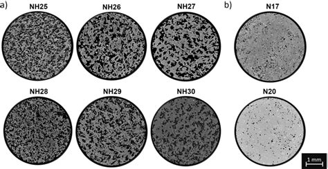 Xct Reconstruction Of Compression Specimens Manufactured From A The Download Scientific