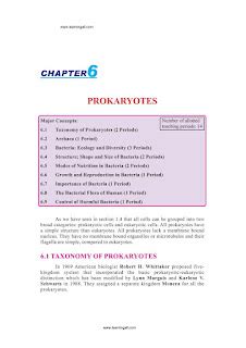 Biology 11 Unit 6 Prokaryotes