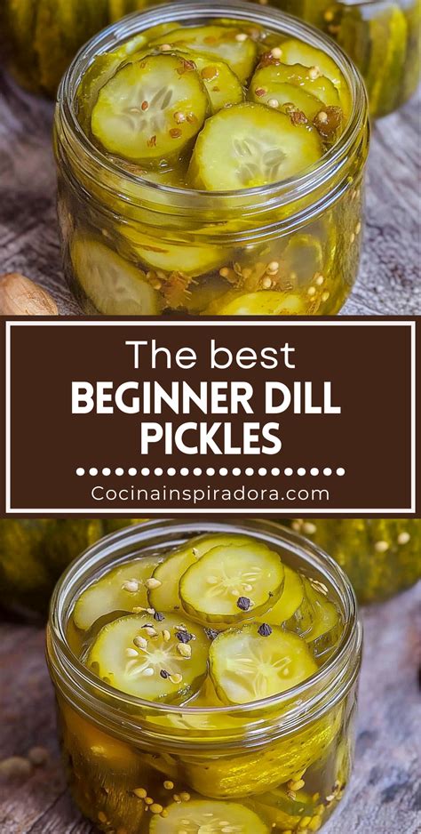 Best 13 The Best Classic Kosher Dill Pickle Recipe Artofit