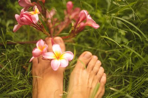 발리에서 열 대 정원의 푸른 잔디에 부드러운 분홍색 프란 지 파 니 꽃을 검게 그을린 푸 트 0명에 대한 스톡 사진 및 기타 이미지 Istock