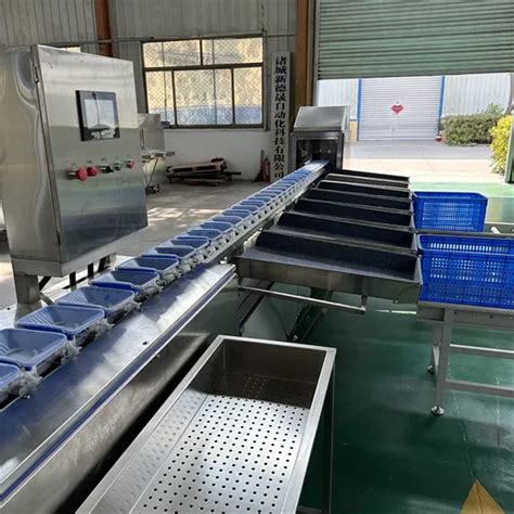 Single Channel Multi Channel Electronic Fruit Sorting Machine Fruit