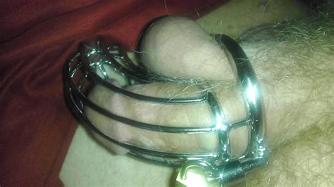 Caged And Denied Porn Pictures Xxx Photos Sex Images 1232800 Pictoa