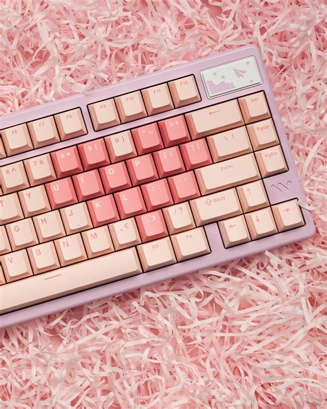 Womier Q61 60 Qmk Via Support Gasket Mounted Wireless Gaming Keyboard
