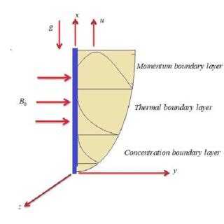 Coordinate System And Flow Geometry Download Scientific Diagram