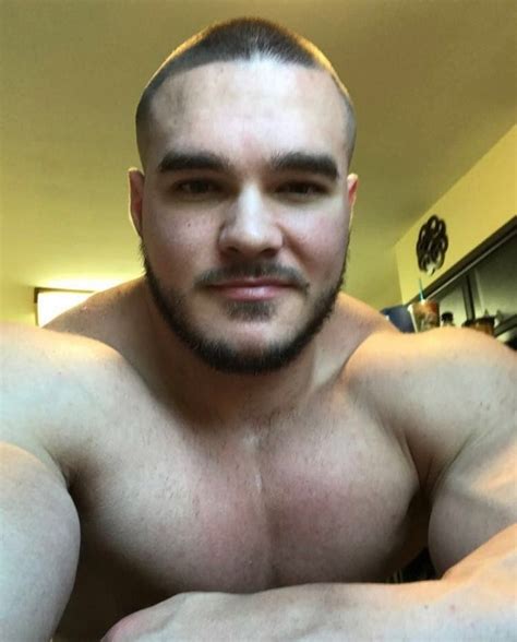 Mesomorphs On Tumblr