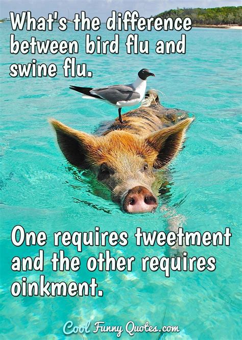 What S The Difference Between Bird Flu And Swine Flu One Requires Tweetment