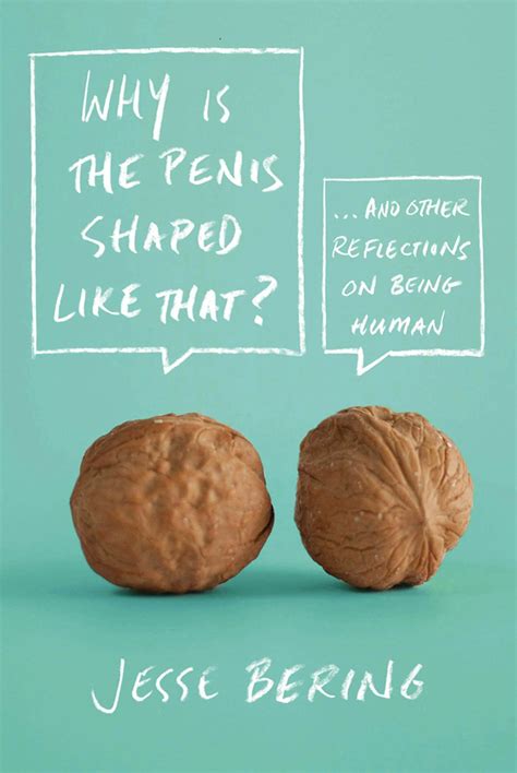 Why Is The Penis Shaped Like That
