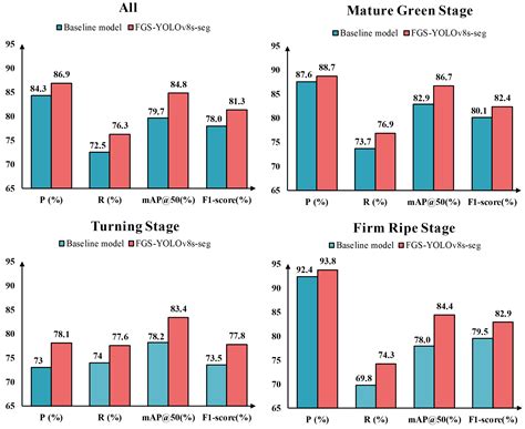 Fgs Yolov8s Seg A Lightweight And Efficient Instance Segmentation