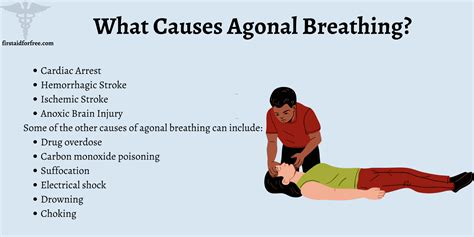 Agonal Breathing Causes Symptoms And Emergency Response
