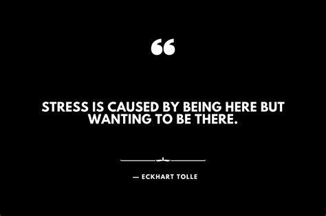 The Stress Code Summary Richard Sutton 2025