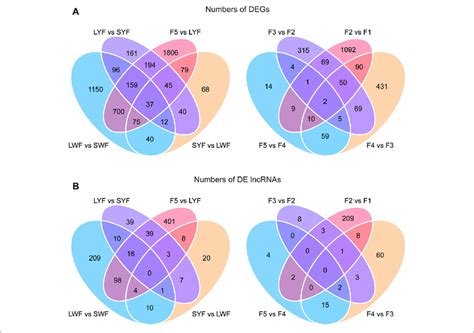 The Common DEGs And DElncRNAs Detected By Comparing The Adjacent