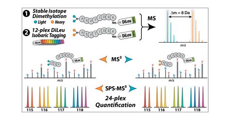 Increased Nn Dimethyl Leucine Isobaric Tag Multiplexing By A Combined