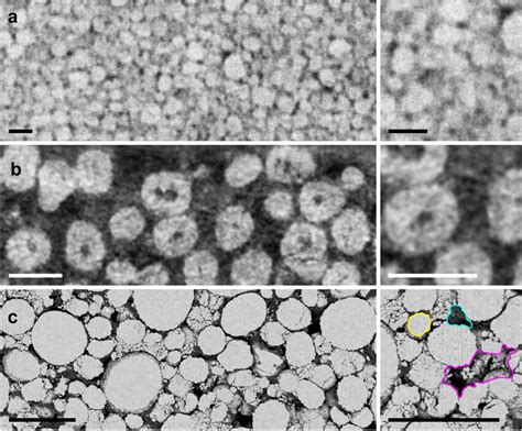 nmc cathodes imaged using different techniques right column is a