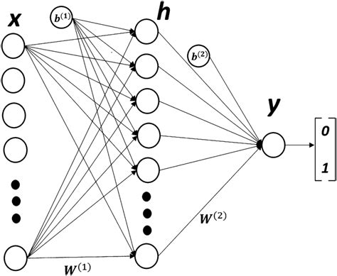 our three layer multi layer perceptron network with one hidden layer