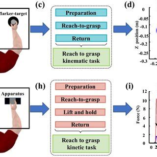 Experimental Set Up Test Protocol And Representative Signals Of The Download Scientific