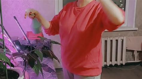 Sugar Vivien Cam Model Profile Stripchat