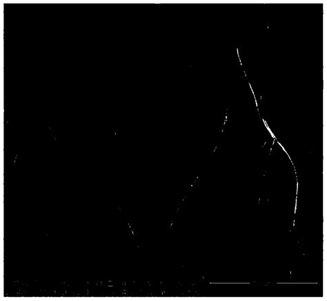 Attapulgite Nanofiber Membrane For Water Treatment And Preparation Method Thereof Eureka Patsnap