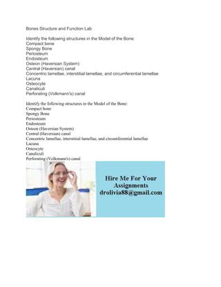 Bones Structure And Function Lab Identify The Following Structures In Docx