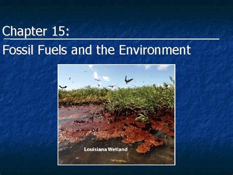 Chapter Fossil Fuels And The Environment Overview