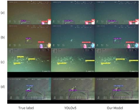Figure 2 From Marine Debris Detection Model Based On The Improved