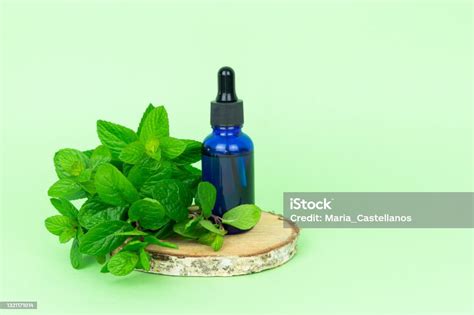 자작 나무 조각과 녹색 배경에 민트 잎과 에센스 드롭퍼 병 공간을 복사합니다 0명에 대한 스톡 사진 및 기타 이미지 0명 건강관리와 의술 대체 요법 Istock