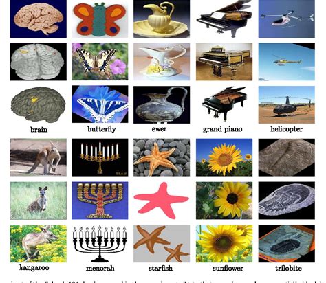 Figure 8 From Towards A More Discriminative And Semantic Visual Vocabulary Semantic Scholar
