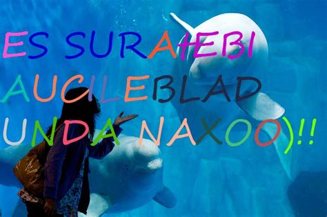 სურათები რომლებიც უნდა ნახო