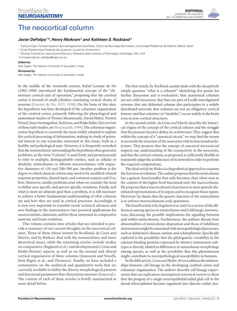 Pdf The Neocortical Column