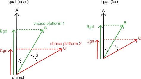 Vector Based Navigation Schema Left The Hippocampus Represents A