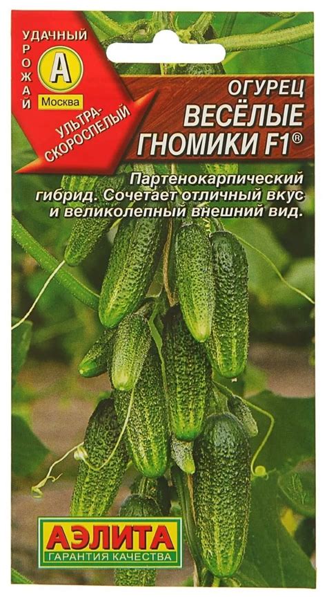 Огурцы веселые гномики фото [81+ картинки]