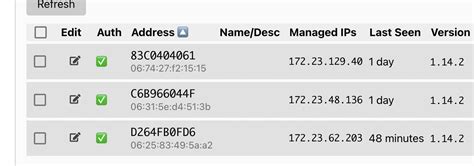 Connection Stuck In Requesting Configuration Community Support Zerotier Discussions
