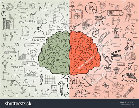 Vektor Stok Left Right Brain Functions Tanpa Royalti 226567843