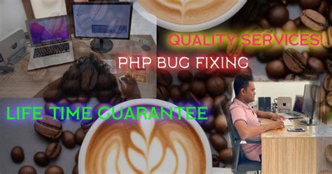 Fix Php Errors And Bugs On Your Website Or Program By Nccooray Fiverr