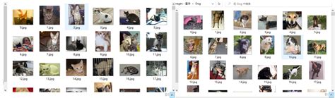 基于alexnet网络实现猫狗数据集分类（keras框架） csdn博客