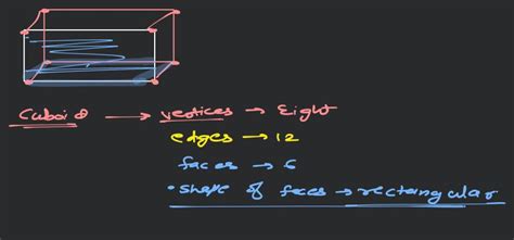 How Many Vertex Edges And Phases Will A Cuboid Have What Is The Shape Of