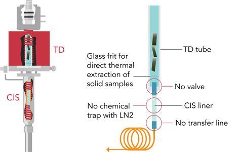 Direct Thermal Extraction A Simple And Reliable Technique For Identifying Fragrances In