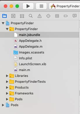 React Native Main Jsbundle File Showing In My IOS Project But Still Throwing No Bundle