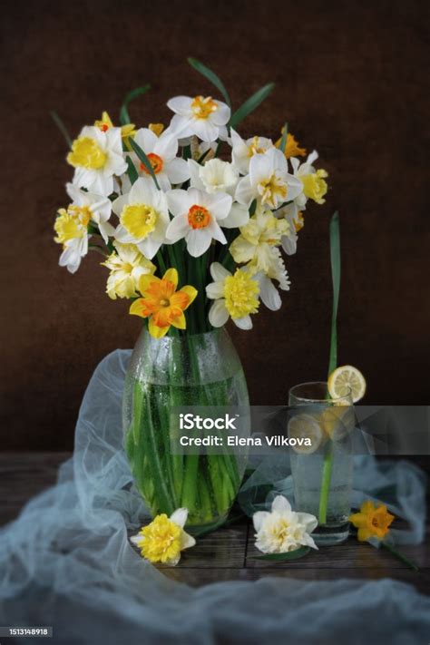 유리 꽃병에 담긴 다양한 종류의 노란색과 흰색 수선화 꽃다발과 투명한 유리에 레몬이 든 물 어두운 배경에 수선화 0명에 대한 스톡 사진 및 기타 이미지 Istock