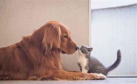 Spring Boot中的stringutils：强大的工具类解析凡夫编程的技术博客51cto博客