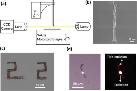 A Schematic Illustration Of A 3d Microprinting Platform B Scanning Download Scientific
